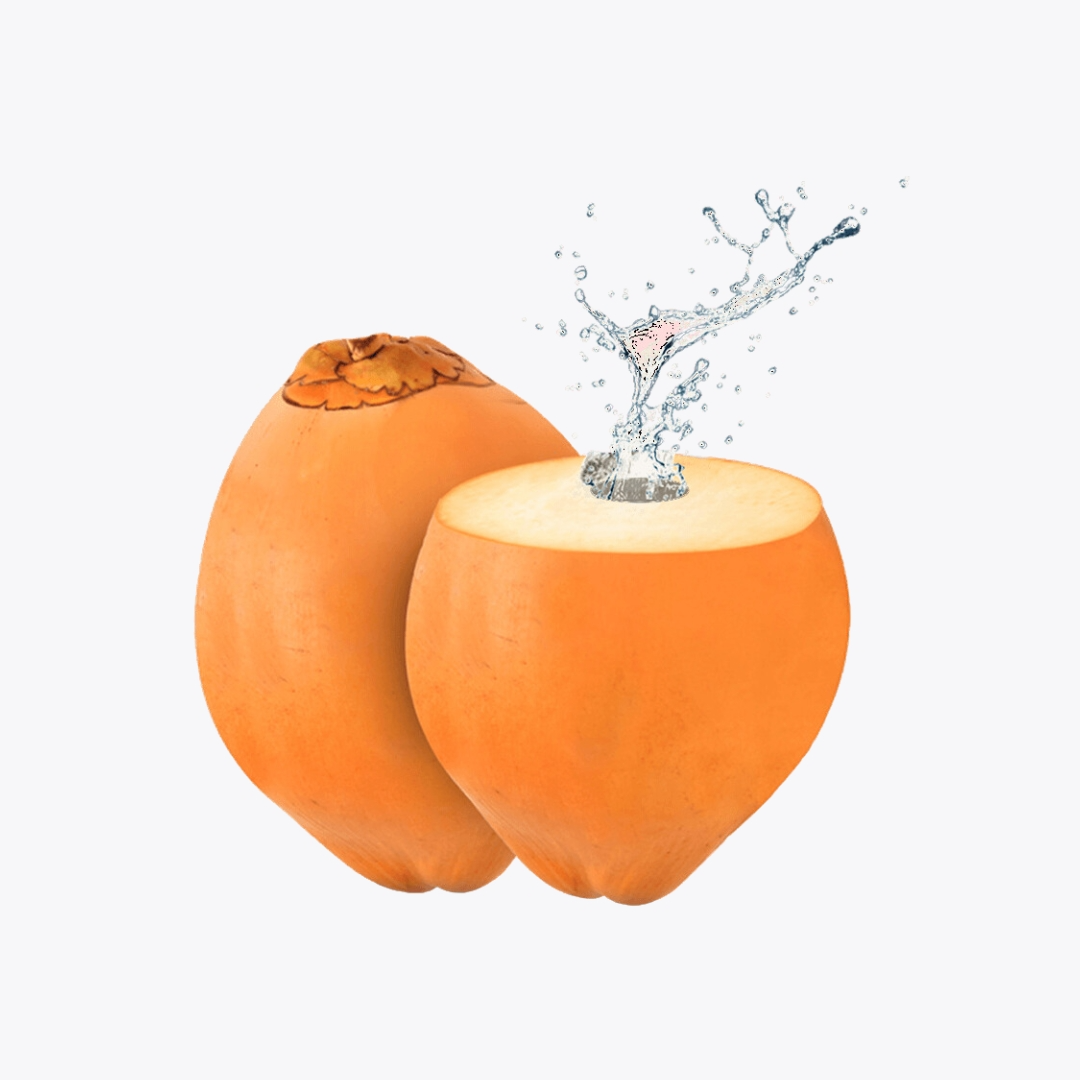 FRESH KING COCONUT – Jupiter Brothers Trading